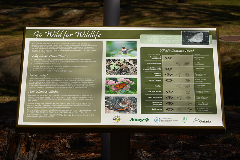 Design & Layout • Fontasy Sign & Display Inc.